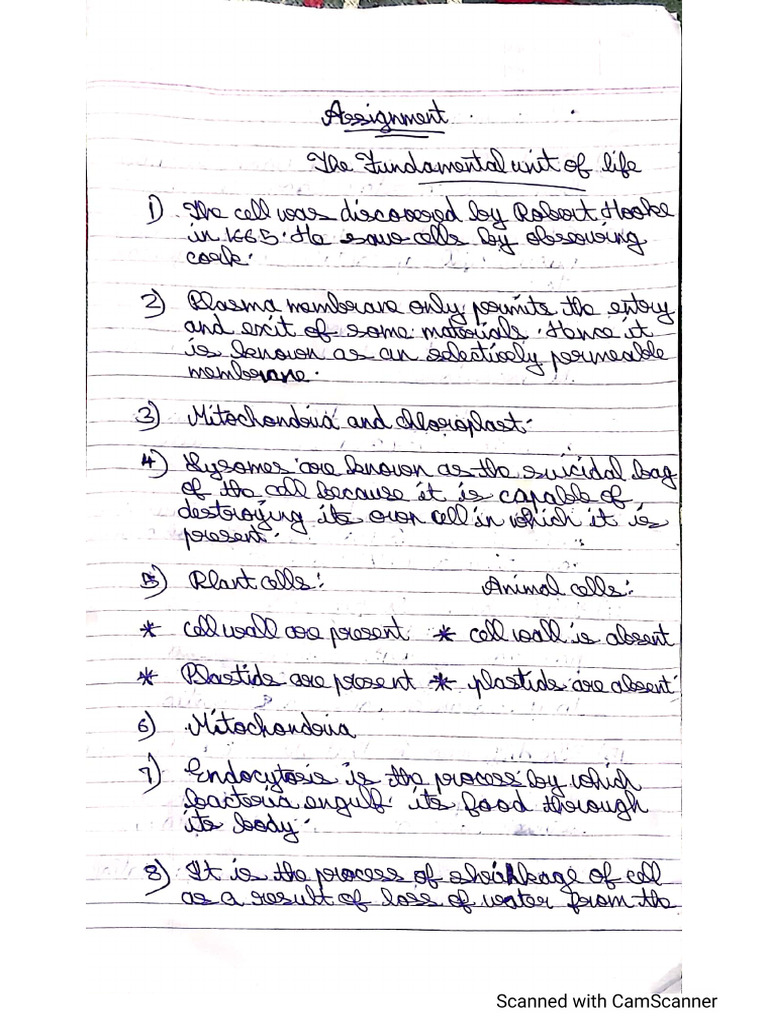 Bio Fundamental Unit of Life Assignment | PDF
