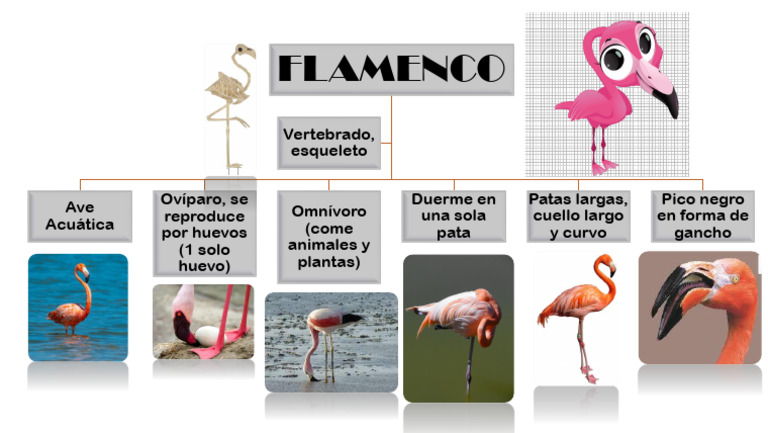 Flamenco Mapa de Conceptos | PDF