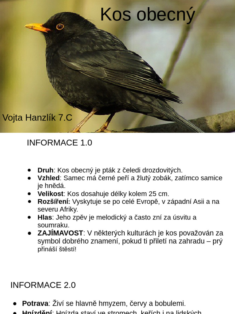 Přírodopis Vojta Hanzlík 7.C | PDF