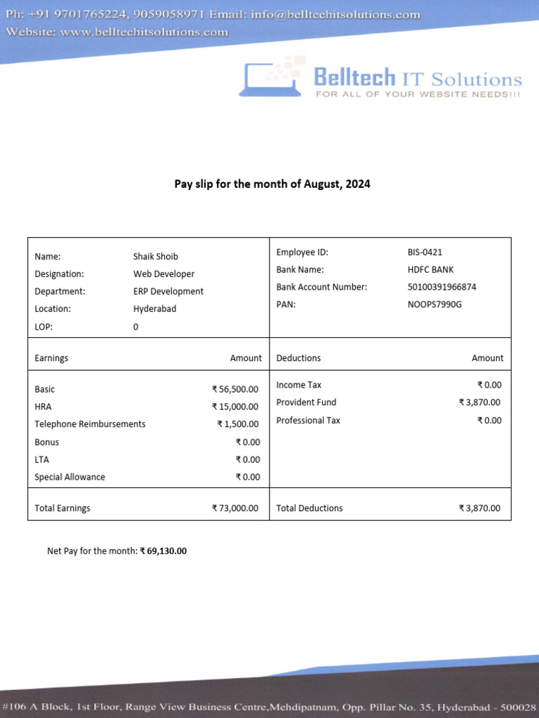 August 2024 Payslip Summary | PDF