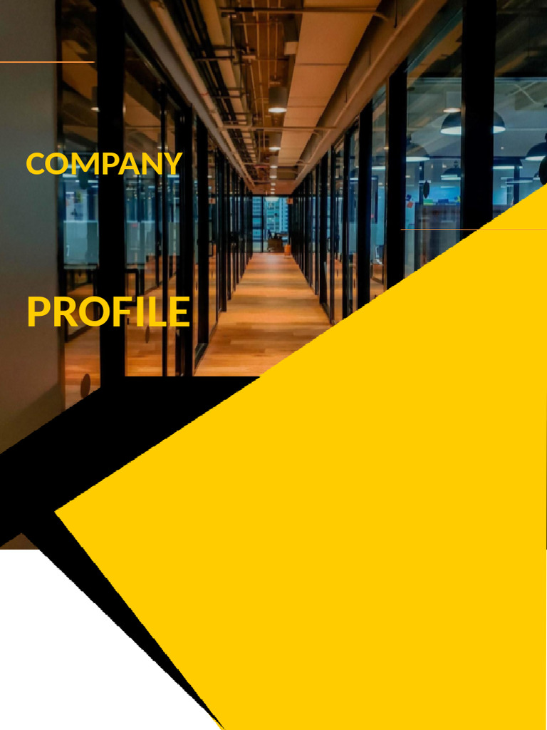 ACMSI Company Profile | PDF | Loans | Business
