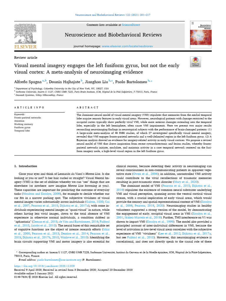 Visual Mental Imagery Engages The Left Fusiform Gyrus, But Not The ...