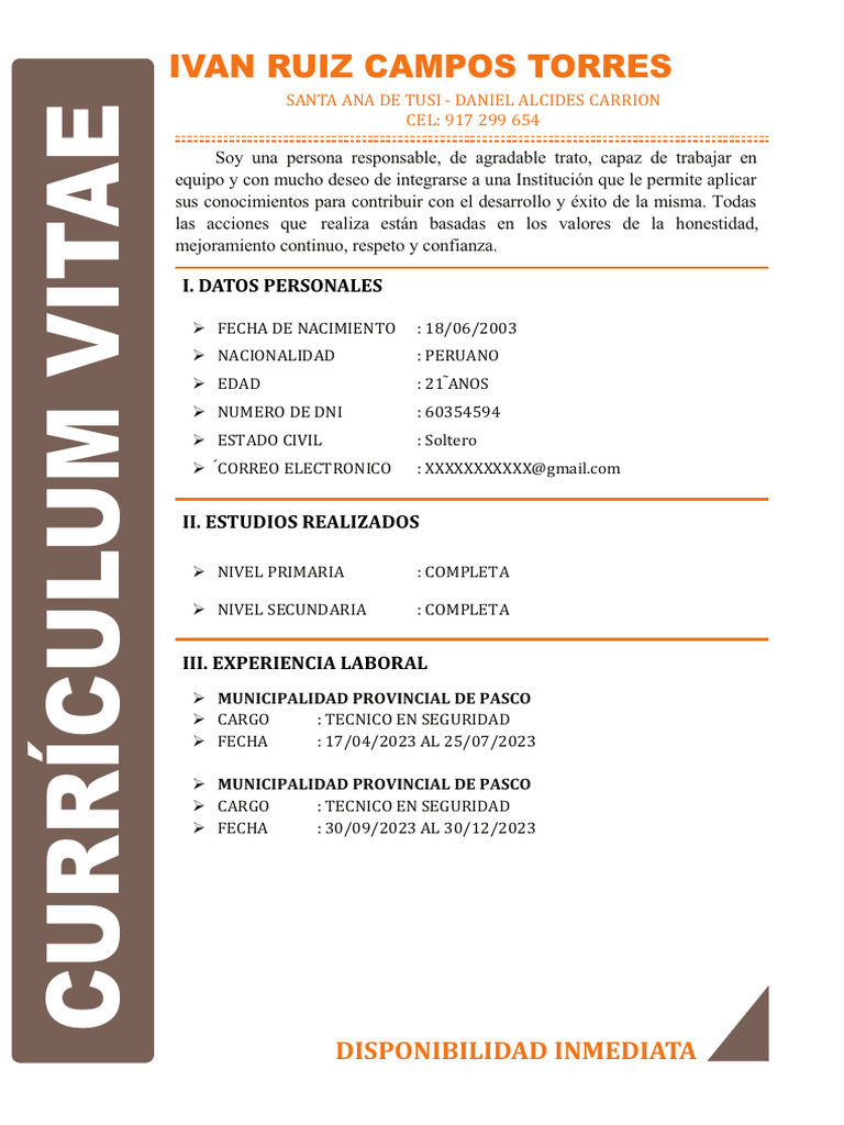 cv. ivan ruiz | PDF
