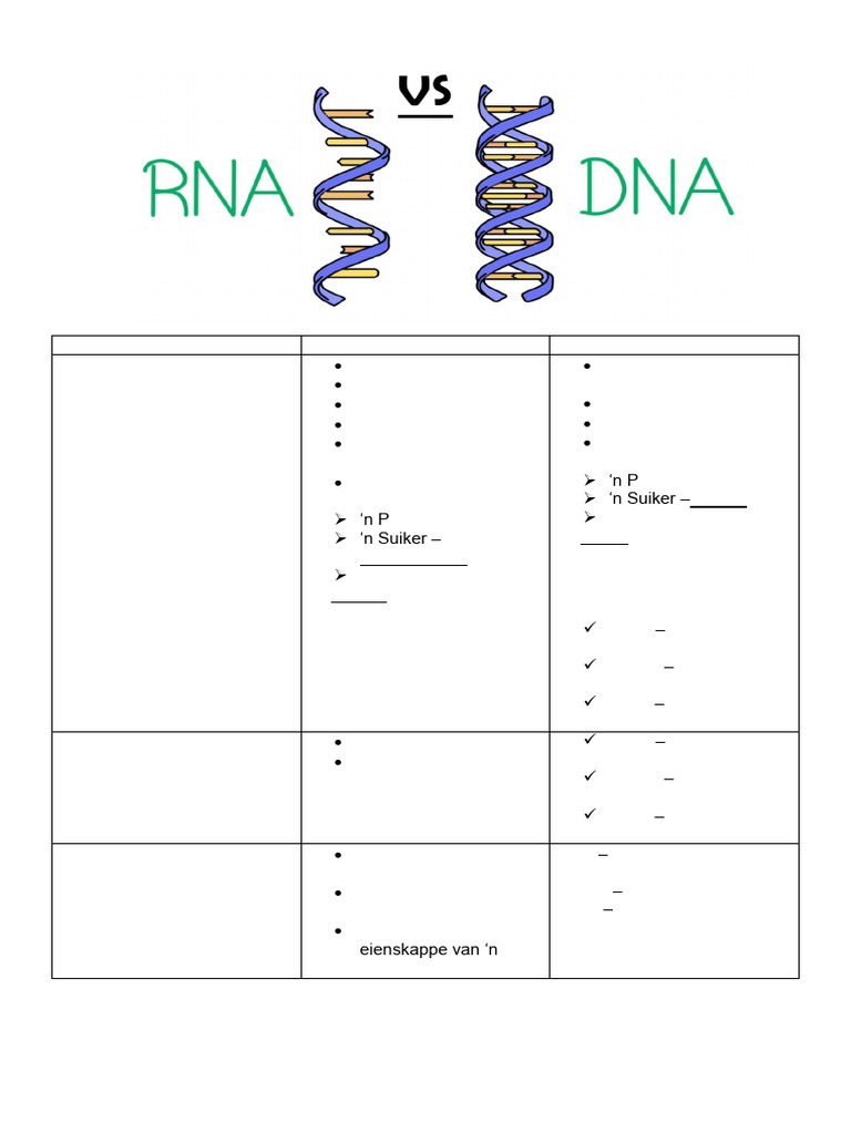 DNA Vs RNA | PDF