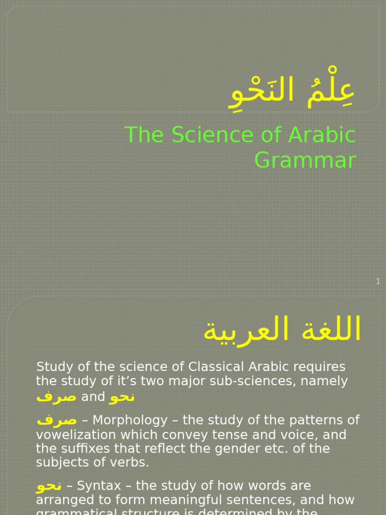 The Science of Arabic Grammar | PDF | Part Of Speech | Word