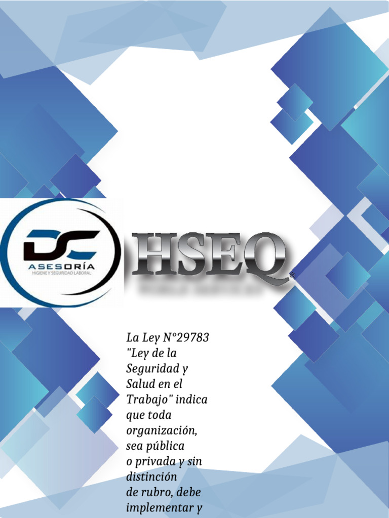 Brochure Hseq (2) | PDF | Business | Planificación