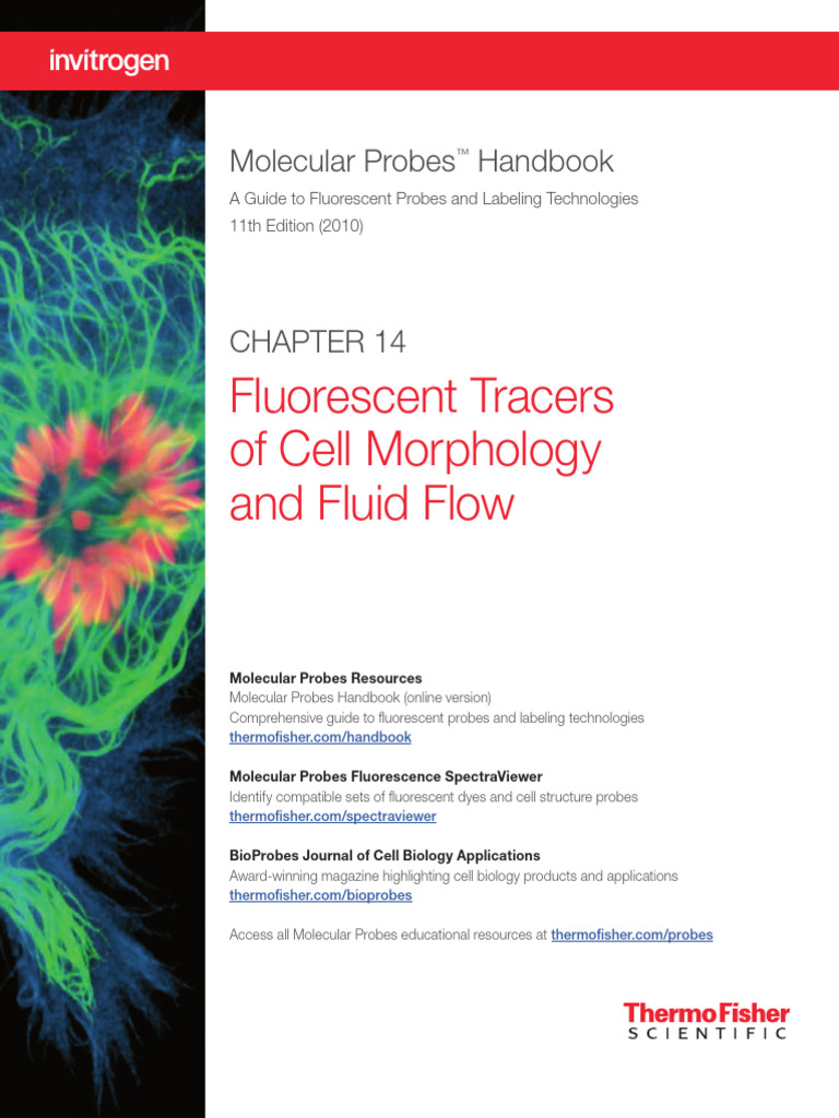 Tracers Cell Morphology | PDF | Fluorophore | Biotechnology