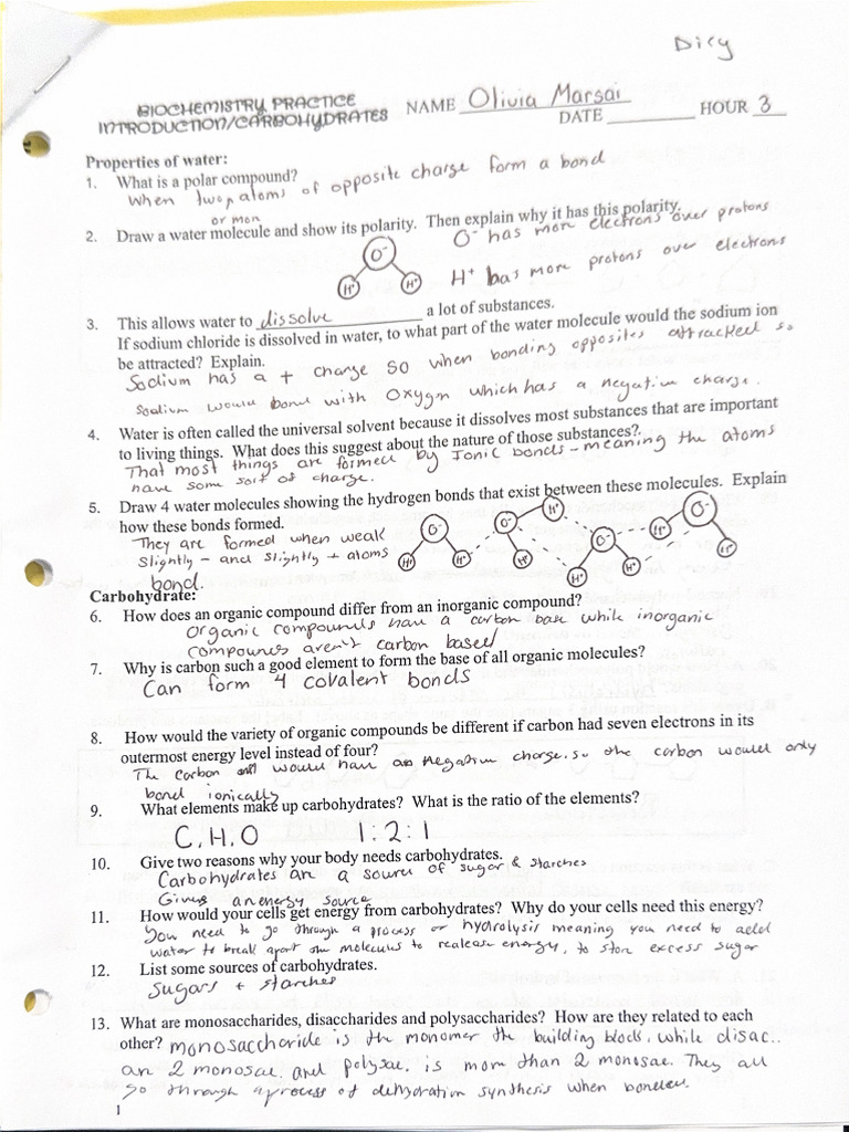 Biochemistry Practice Intro | PDF
