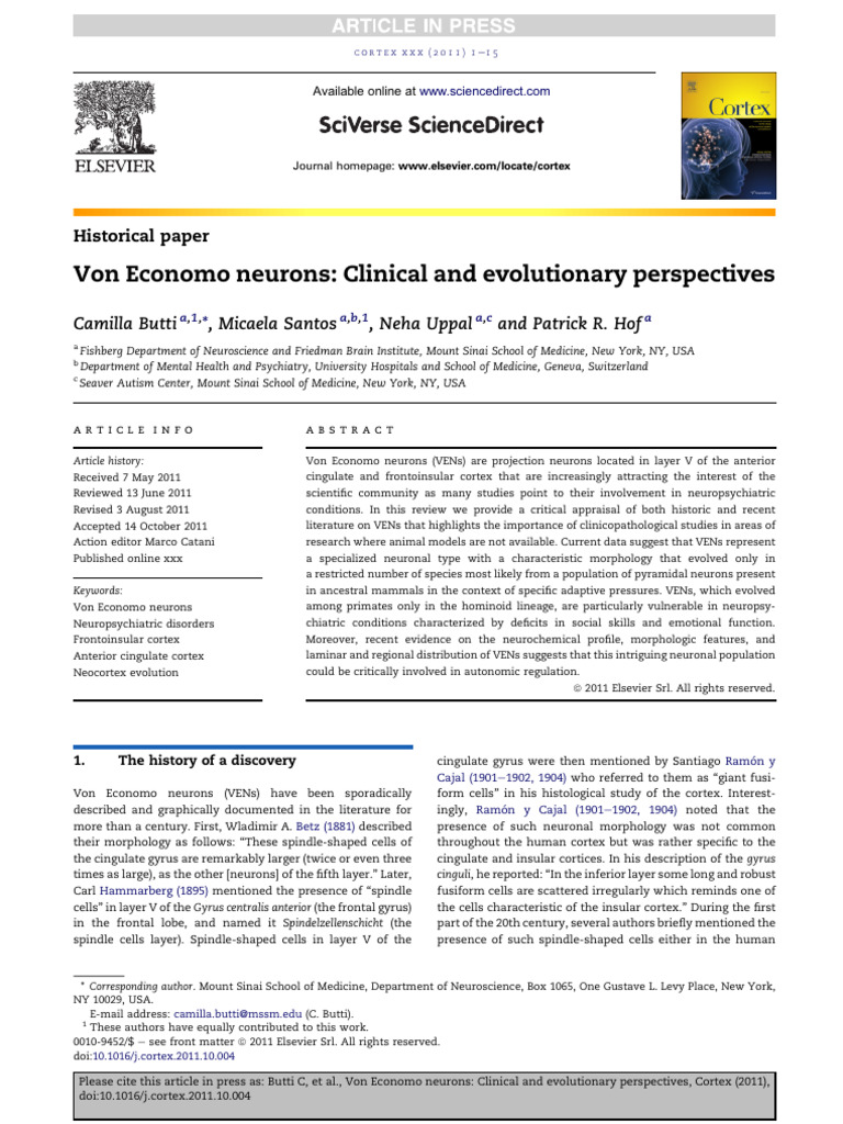 2013 Von Economo Neurons | PDF | Cerebral Cortex | Pyramidal Cell