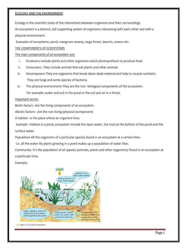 Ecosystem Notes Igcse 2023 Sept | PDF | Ecosystem | Food Web