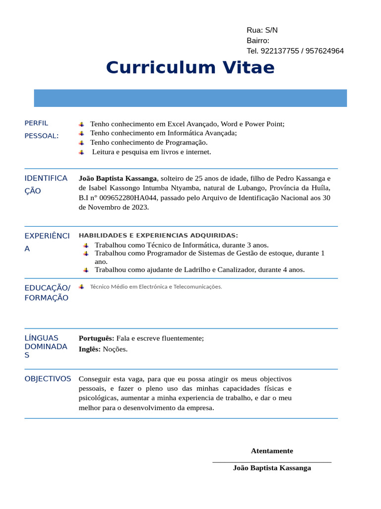 Curriculum Vitae David Completo | PDF