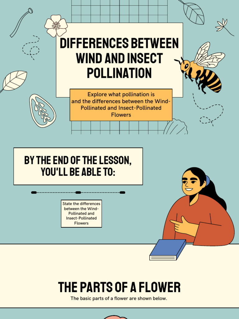 Differences in Pollination Methods | PDF | Pollination | Flowers