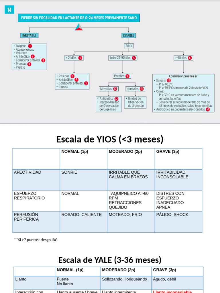 Escalas YIOS y YALE: Evaluación y Tratamiento en Lactantes | PDF ...