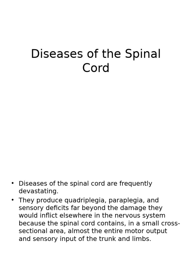 Diseases of The Spinal Cord | PDF | Spinal Cord | Vertebral Column