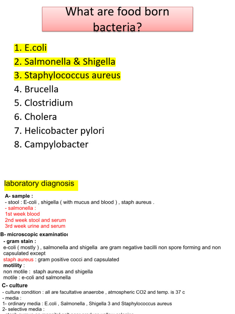 Foodborne Bacteria Diagnosis Guide | PDF | Staphylococcus ...