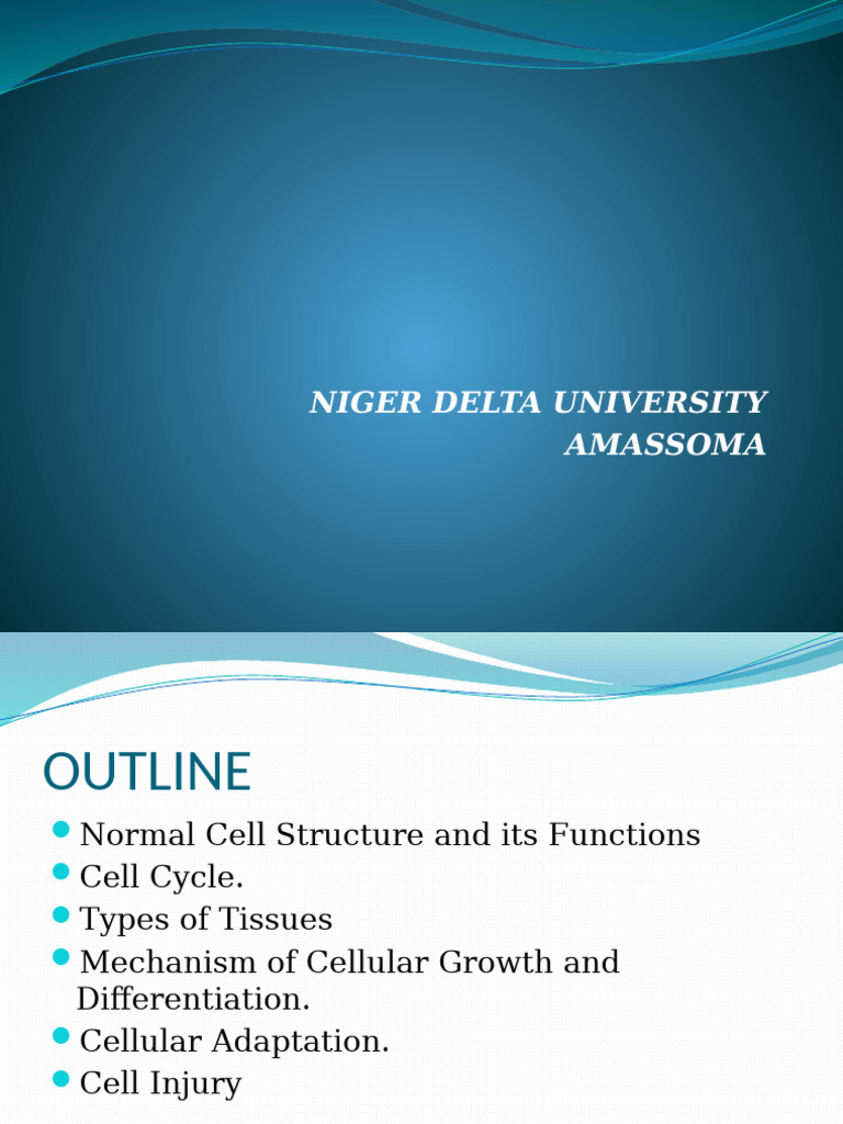 Normal Cell,Adaptation and Cell Injury | PDF | Mitosis | Cell Cycle