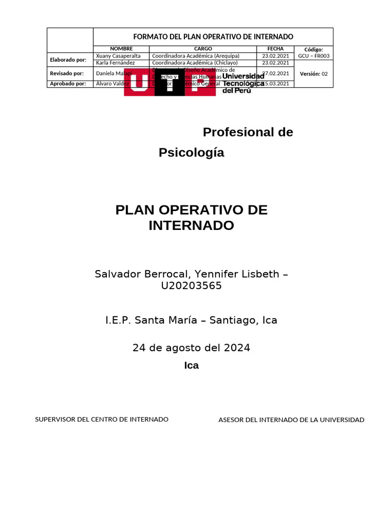 Formato Del Plan Operativo de Internado | PDF