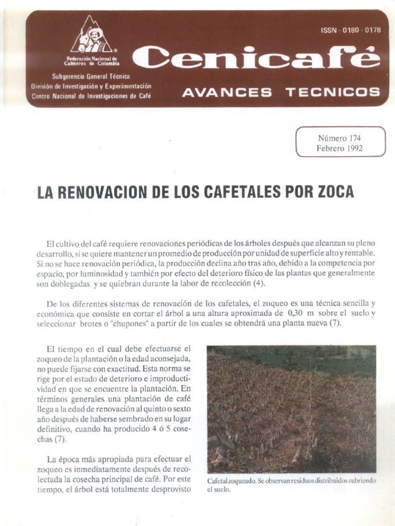 Renovacion Por Zoca | PDF