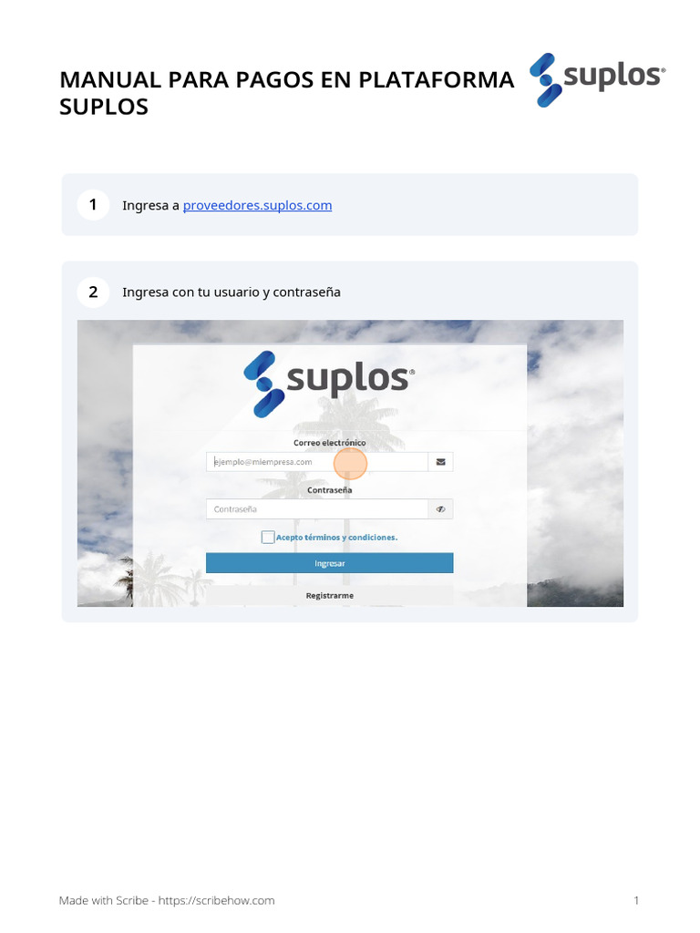 Manual Pago Suplos Por Plataforma | PDF | Negocios | Finanzas y dinero
