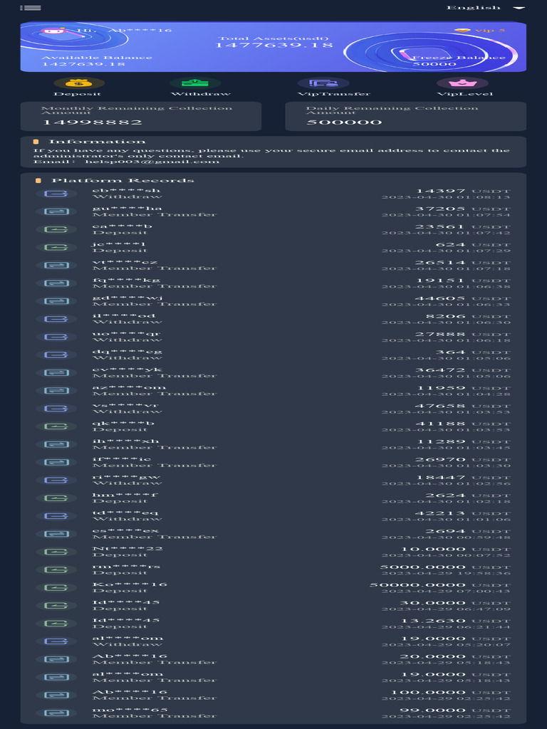 USDT Transaction Summary Report | PDF