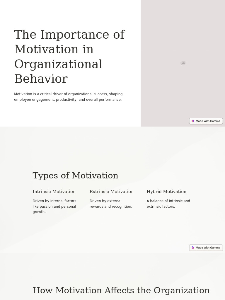 The Importance of Motivation in Organizational Behavior | PDF