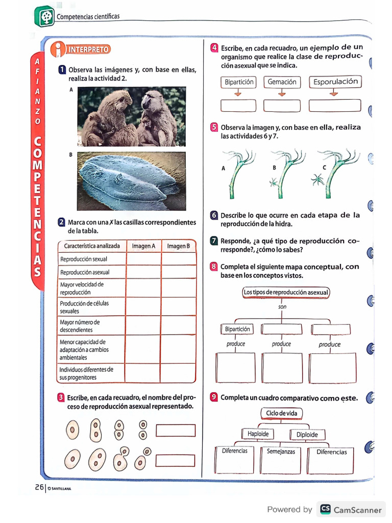 Taller de Repaso 8 | PDF