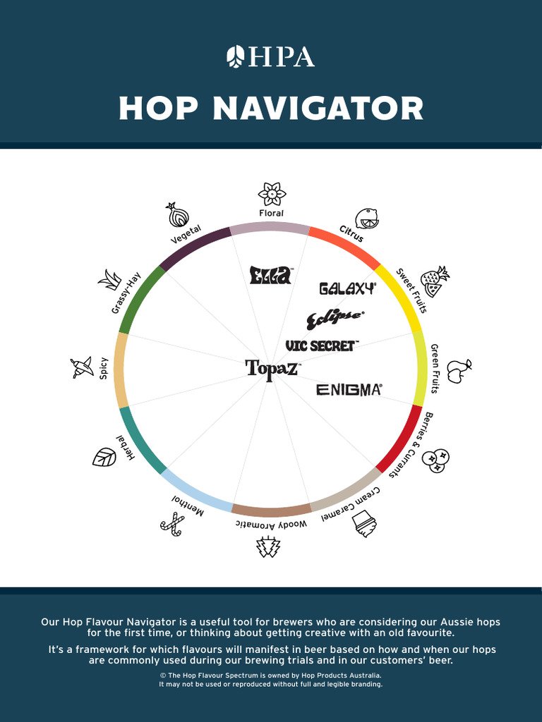HPA Hop Navigator | PDF | Fermentation In Food Processing | Fermented Foods