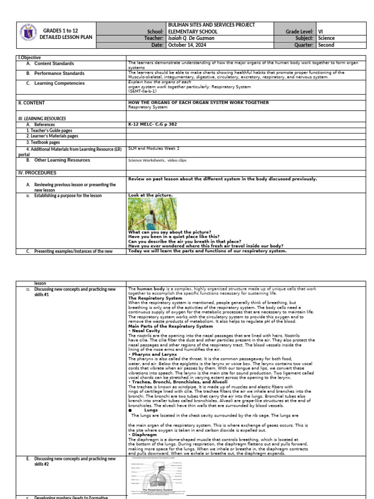 Science Q2 WEEK 2 | PDF | Respiratory Tract | Larynx