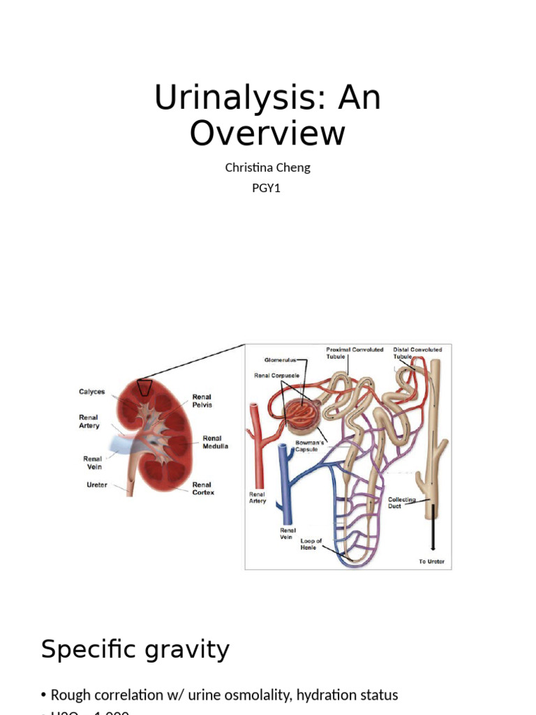 Urinalysis | PDF | Medical Specialties | Urinary System