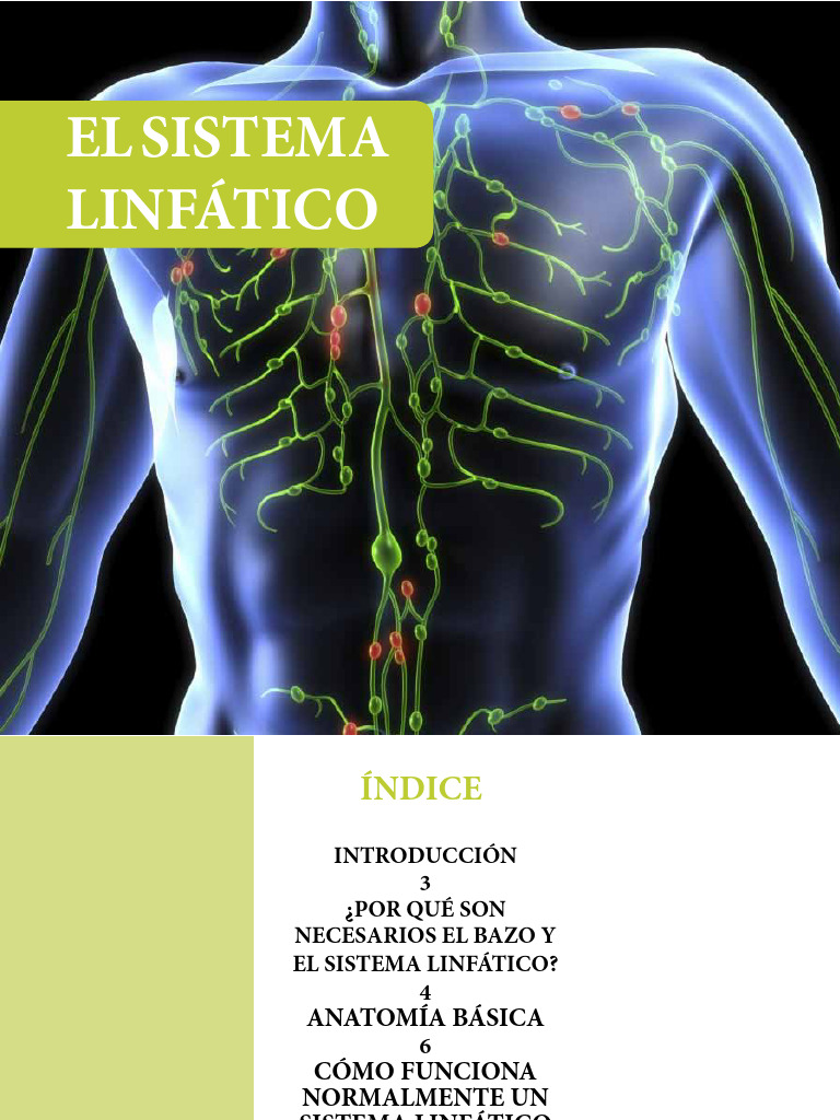 El Sistema Linftico | PDF | Sistema linfático | Ganglio linfático