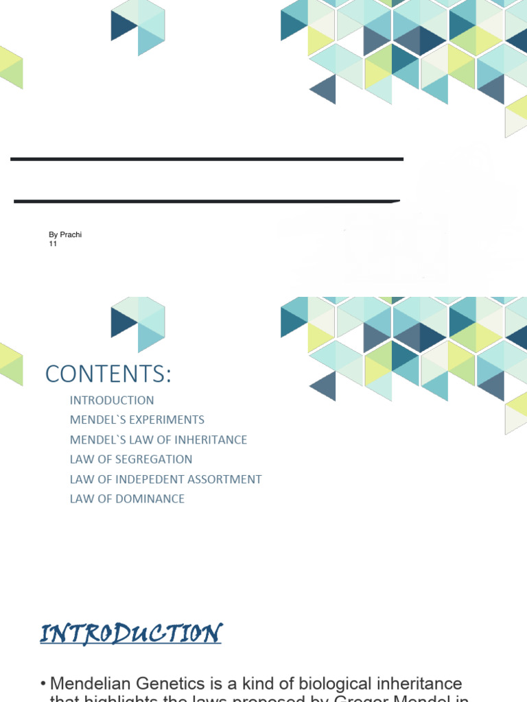 Biology | PDF | Dominance (Genetics) | Genetic Disorder