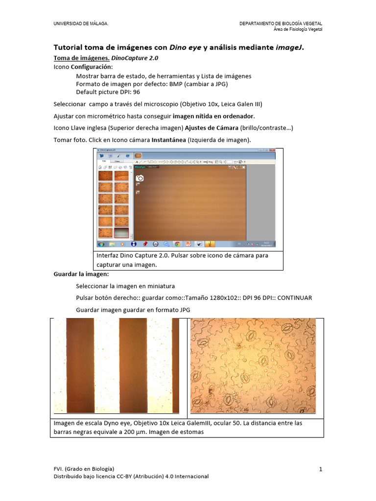Tutorial - Dyno Eye - ImageJ - FVI | PDF