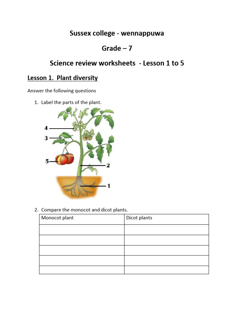 science review worksheets for grade 7 | PDF | Seed | Botany