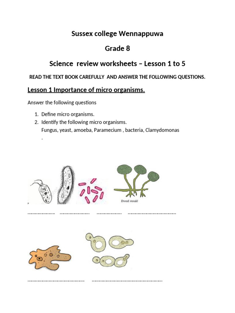 Science Review Worksheets For Grade 8 | PDF | Sound | Waves