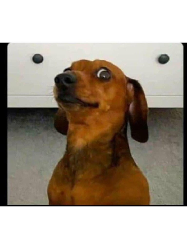 HEF Final Message To All First Years | PDF