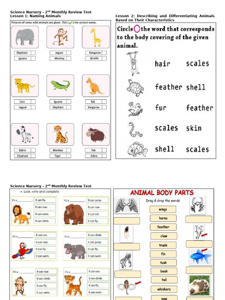 SCIENCE NURSERY - 2ND ME | PDF