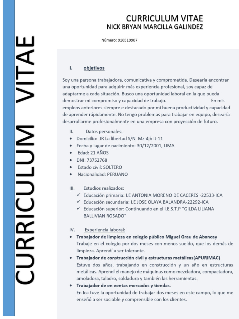 Curriculum Bryan Marcilla. 1 | PDF | Crecimiento personal y profesional | Negocios