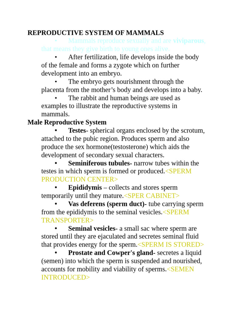 Reproductive System of Mammals | PDF | Reproductive System | Uterus