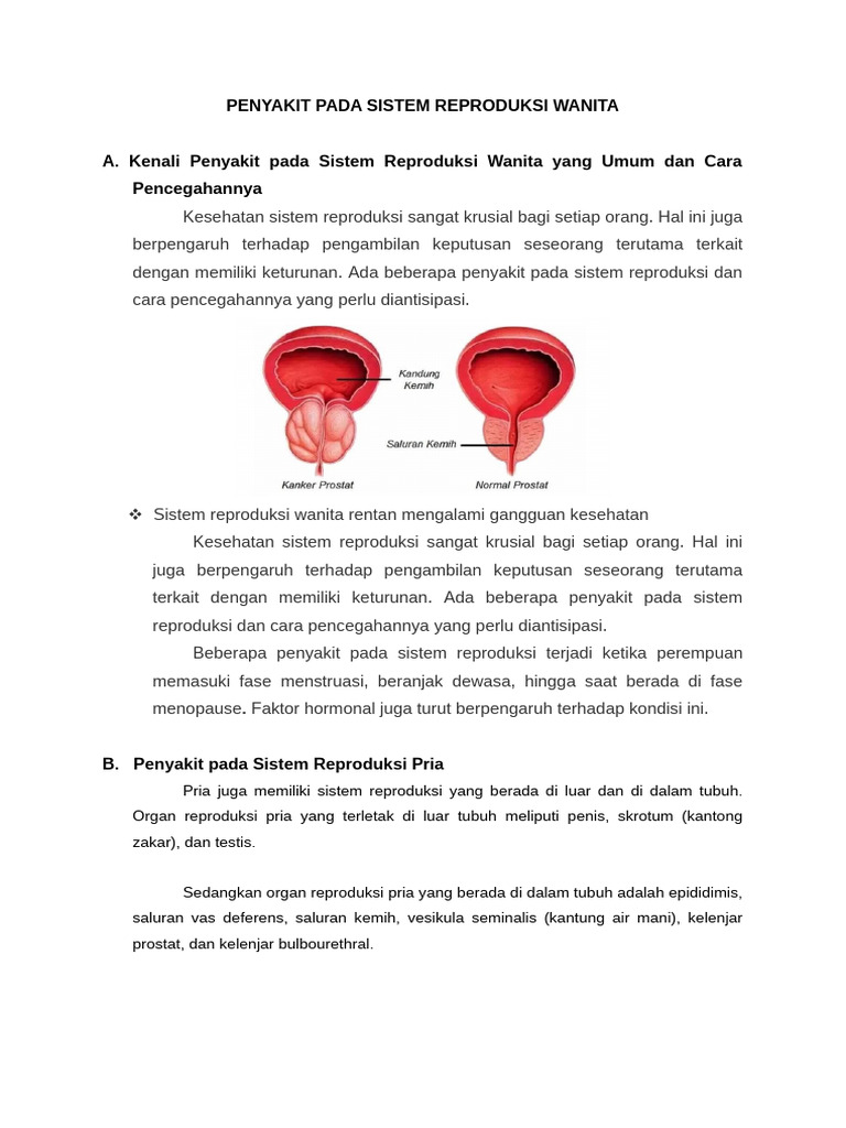 Penyakit Pada Sistem Reproduksi Pria | PDF | Pengembangan Diri | Kesehatan Holistik