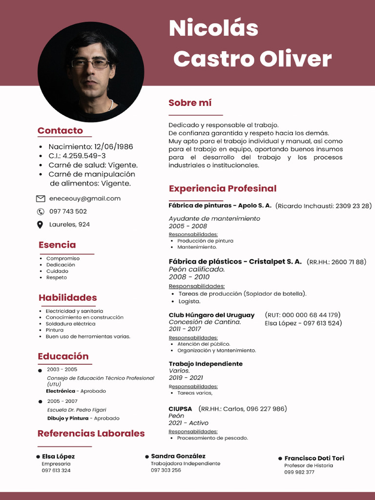 CV - Nico Castro | PDF