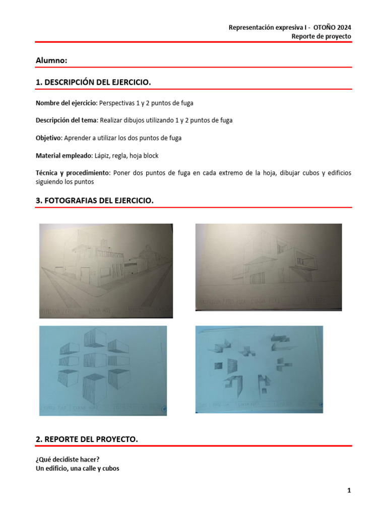 Reporte REB | PDF | Arte