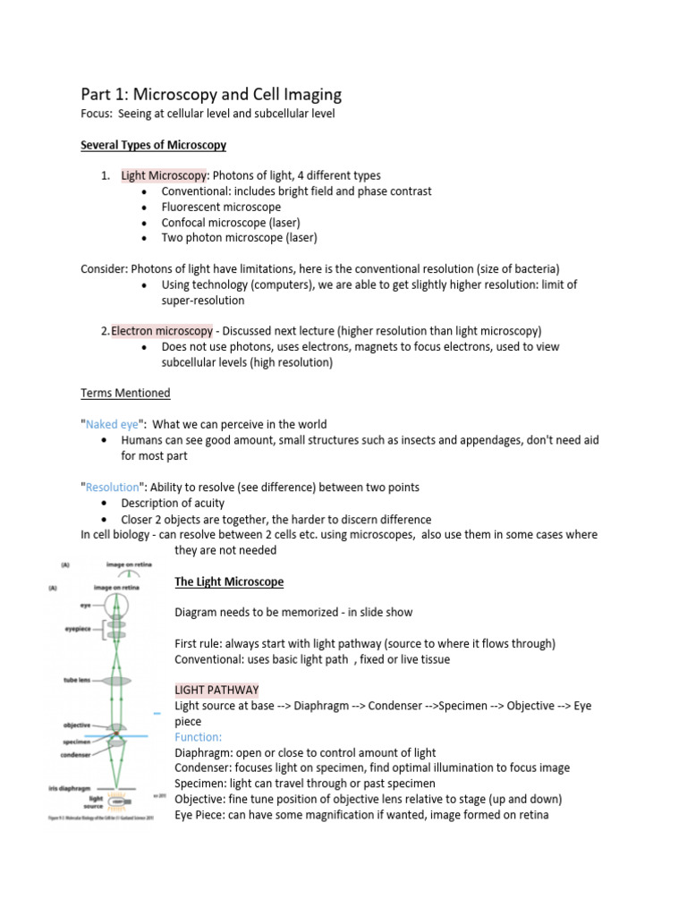 BIO3153 - Module 1 | PDF | Microscopy | Confocal Microscopy