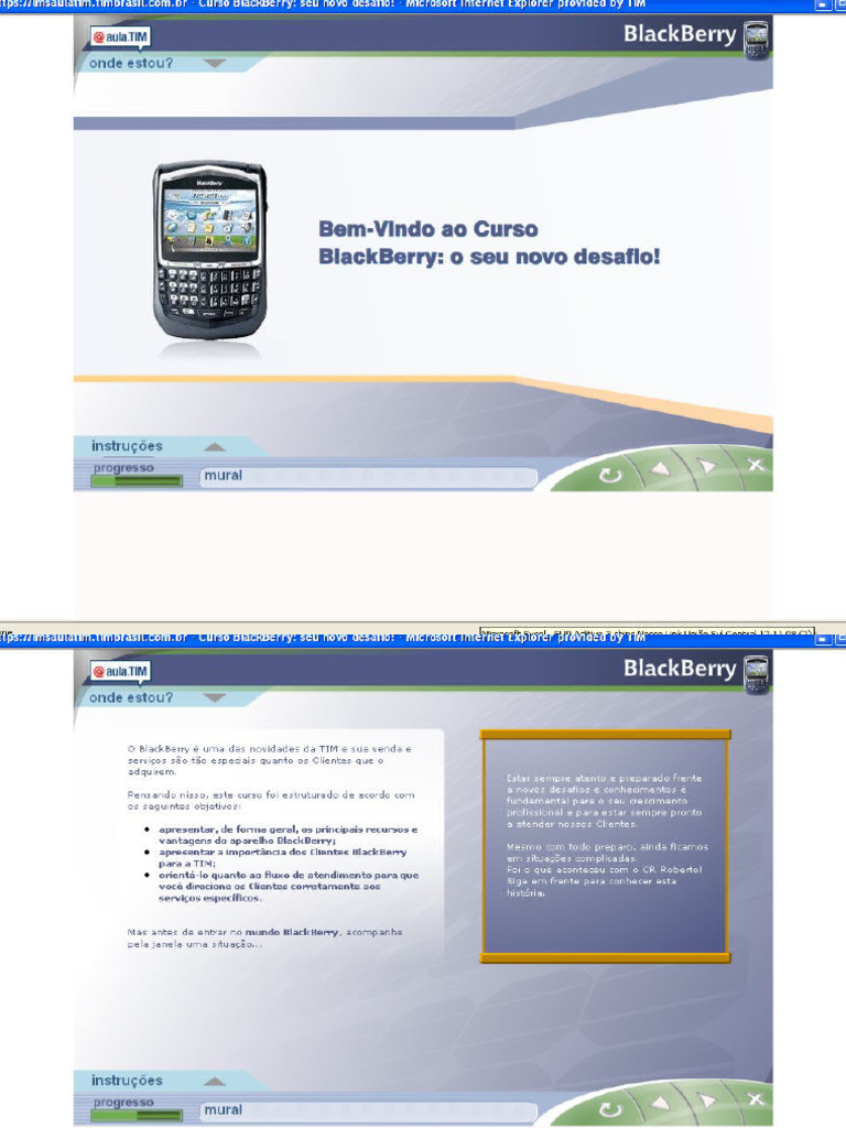 Blackberry | PDF