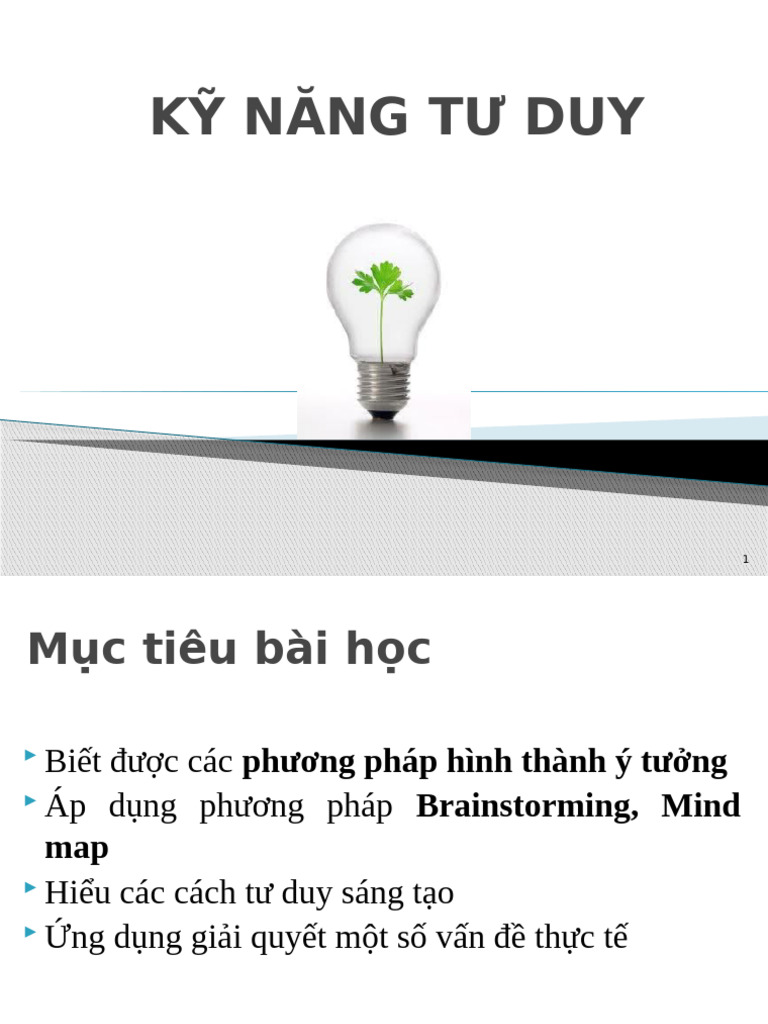 B2 - Ky Nang Tu Duy | PDF