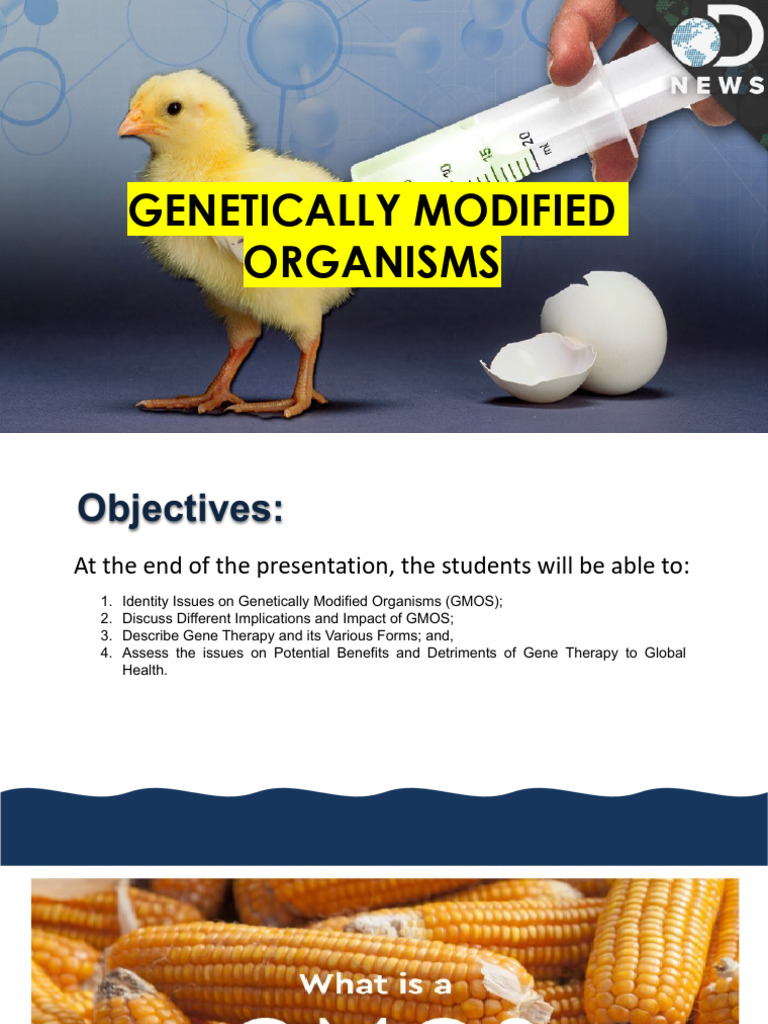 Topic 9 - GMOs and Gene Therapy | PDF | Genetically Modified Organism | Genetic Engineering