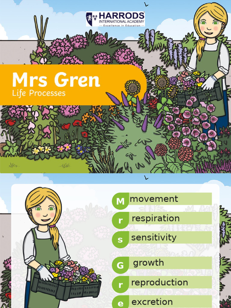 Week#6-Y7-Science - Mrs Gren Life Processes PowerPoint | PDF