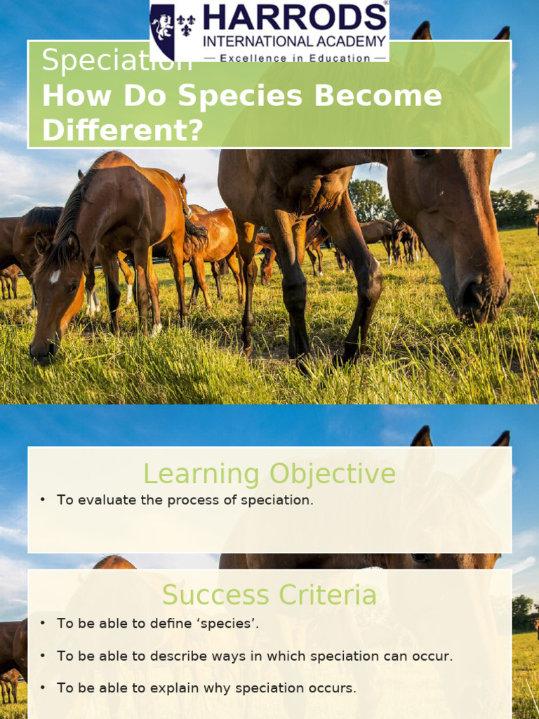 Week#7 Y7 Science.speciation Powerpoint | PDF | Natural Selection | Species