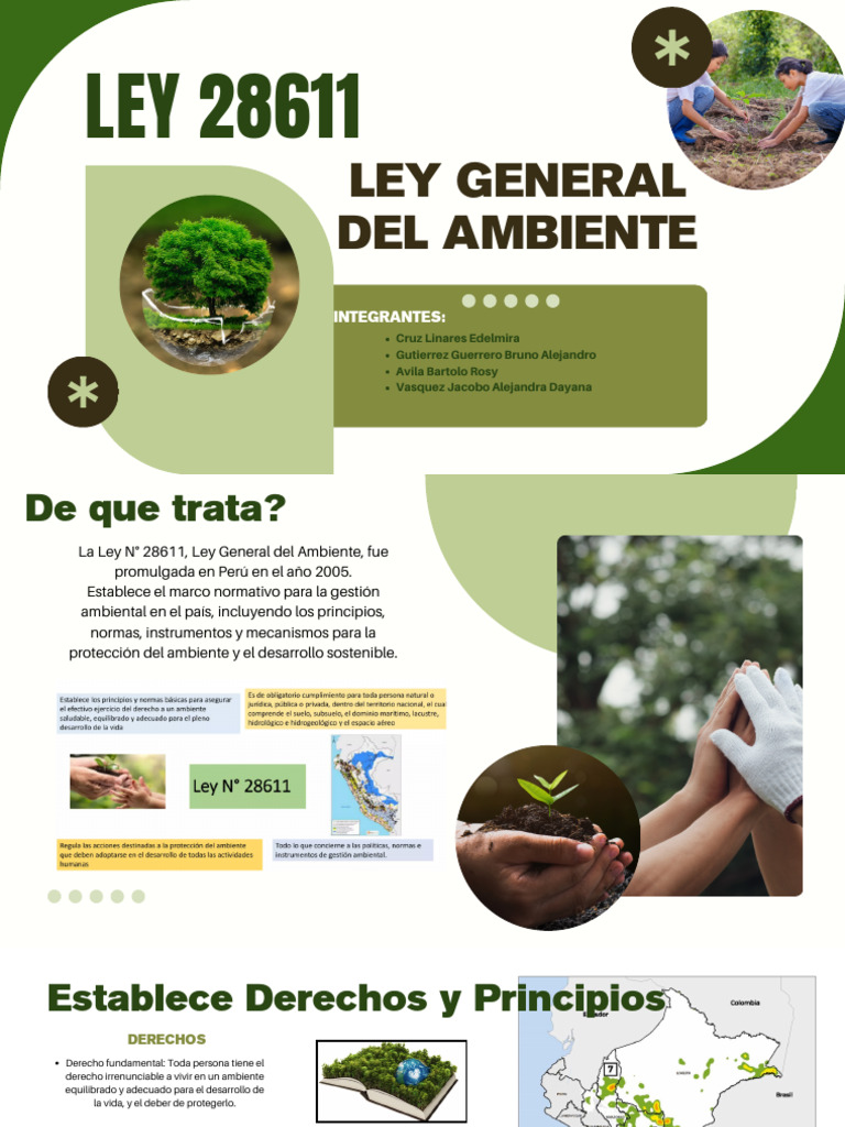 Ley 28611: Marco Ambiental Perú | PDF | Sustentabilidad | Entorno natural