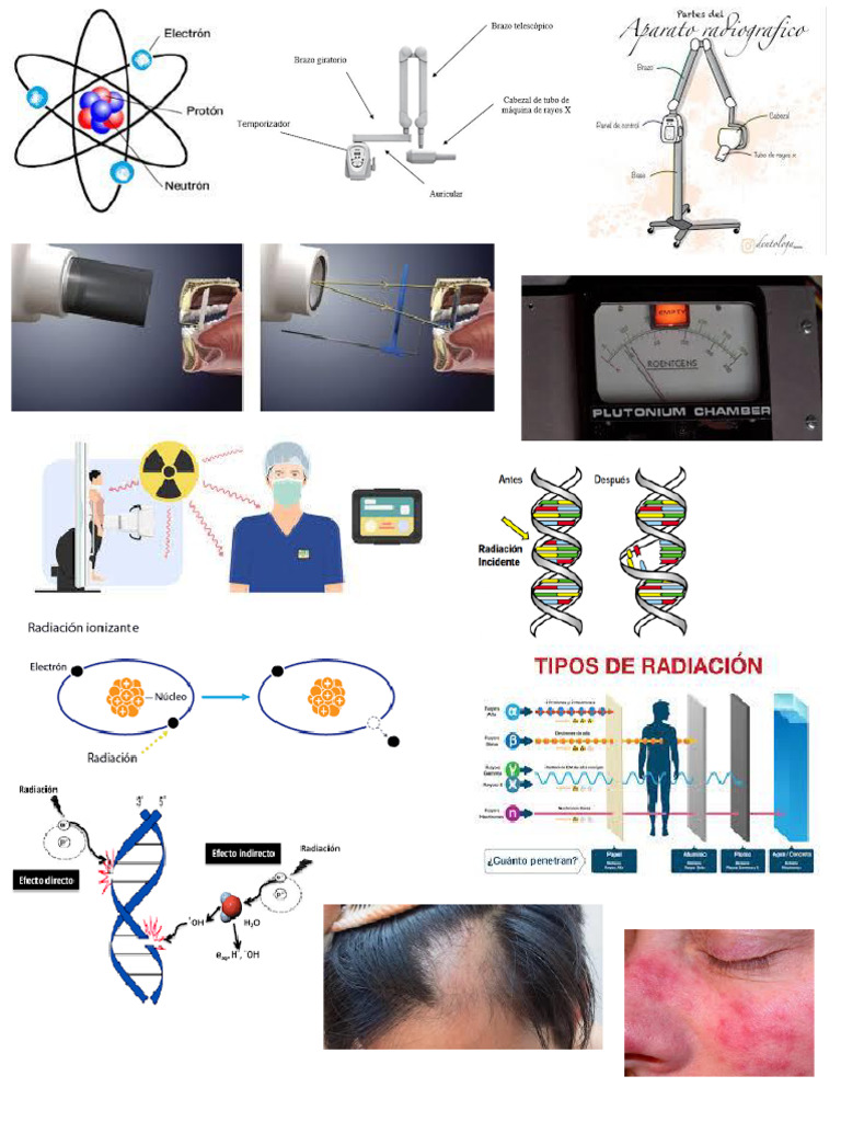 Imagenes A Color | PDF