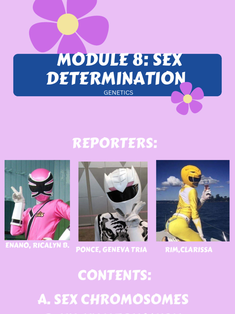 Module 8 Genetics Ppt 042141 Pdf Sex Biology
